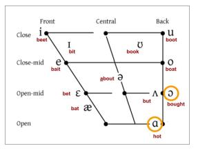 The cot-caught merger: a dialectal difference and early literacy ...